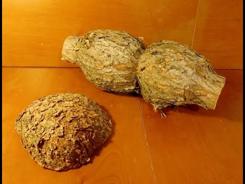 BUILD A BURL LOG TABLE LAMP - YouTube