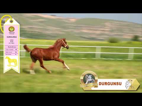 DURGUNSU
