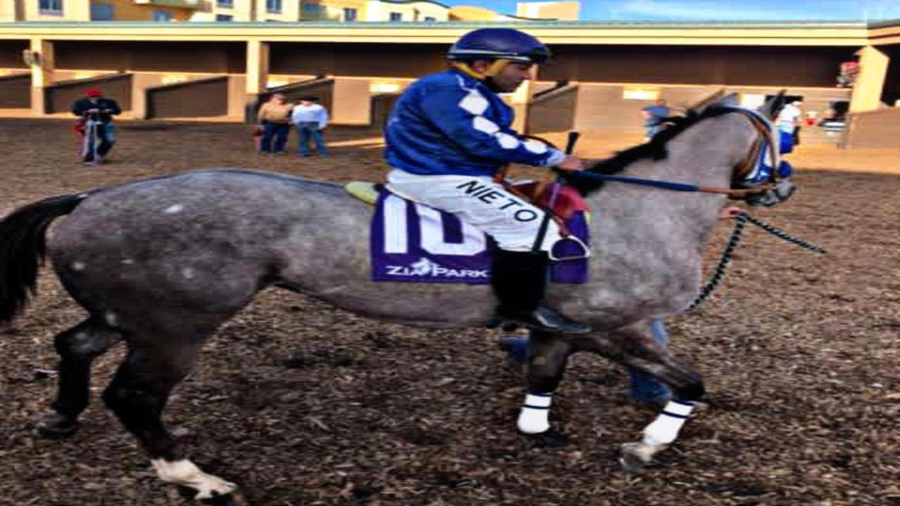 CALL ME KASH - AARON CHAVEZ Y SUS TAPADOS - YouTube