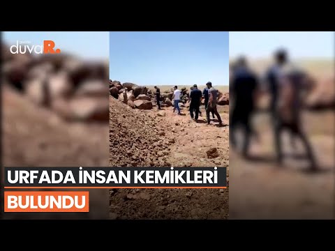 Urfa'da insan kemikleri bulundu: Üç erkeğe ait olduğu düşünülüyor