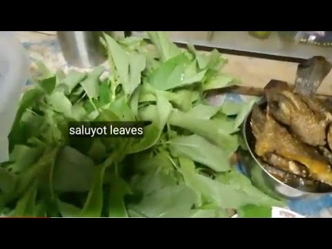I cooked paksiw na saluyot for lunch. - YouTube