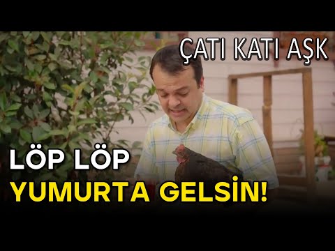 Şuayip Neyin Peşinde?  - Çatı Katı Aşk 6.Bölüm
