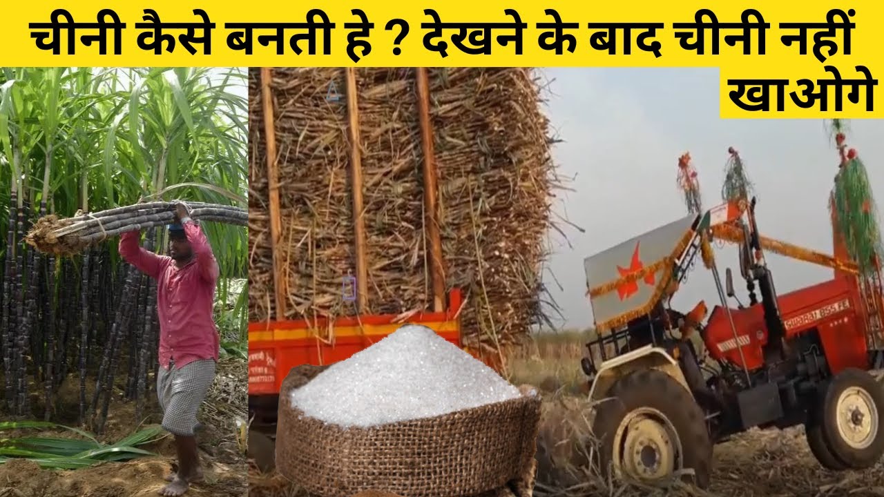 Sugar Factory Making | चीनी कैसे बनती है | Amazing Sugar Factory ...