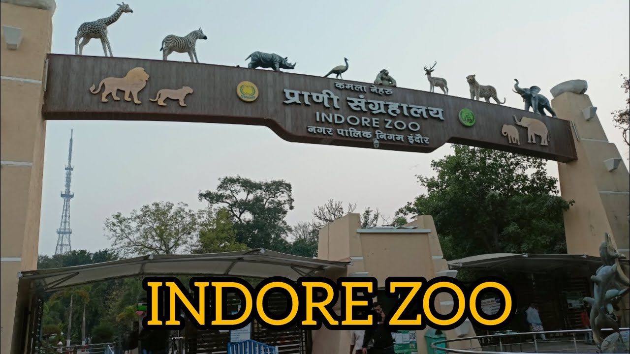 Indore Zoo | Zoo Indore| Chidiya Ghar | Zoo Vlog | Indore Zoo Tour ...