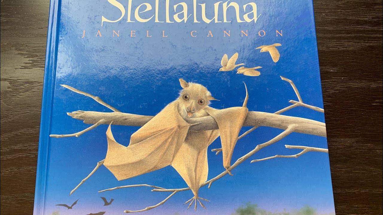 Read Aloud - Stellaluna by Janell Cannon - YouTube