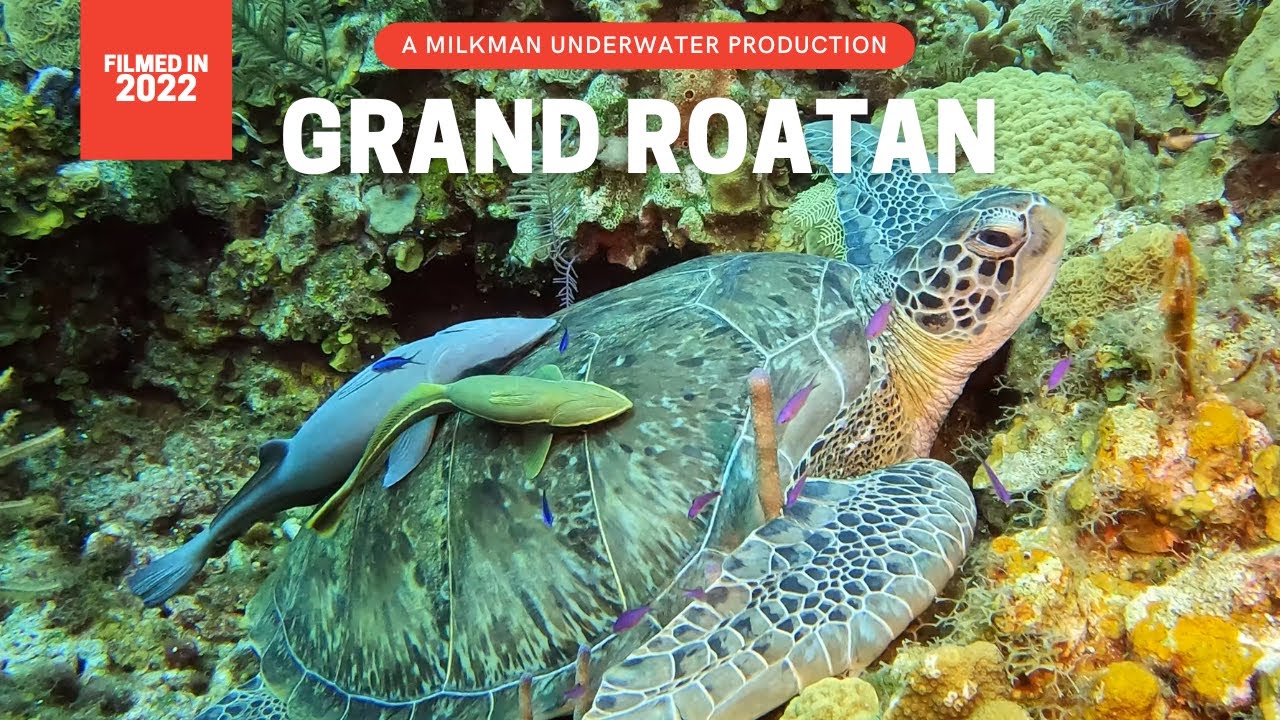 Grand Roatan - YouTube