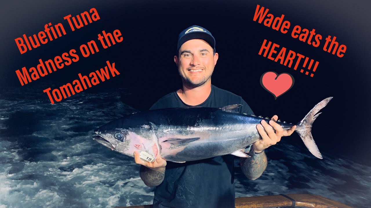 Bluefin Tuna on the Tomahawk 6/8/19 - YouTube