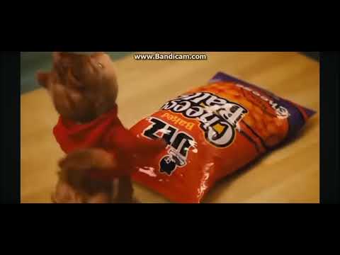 Cheese ball man :Alvin and the Chipmunks