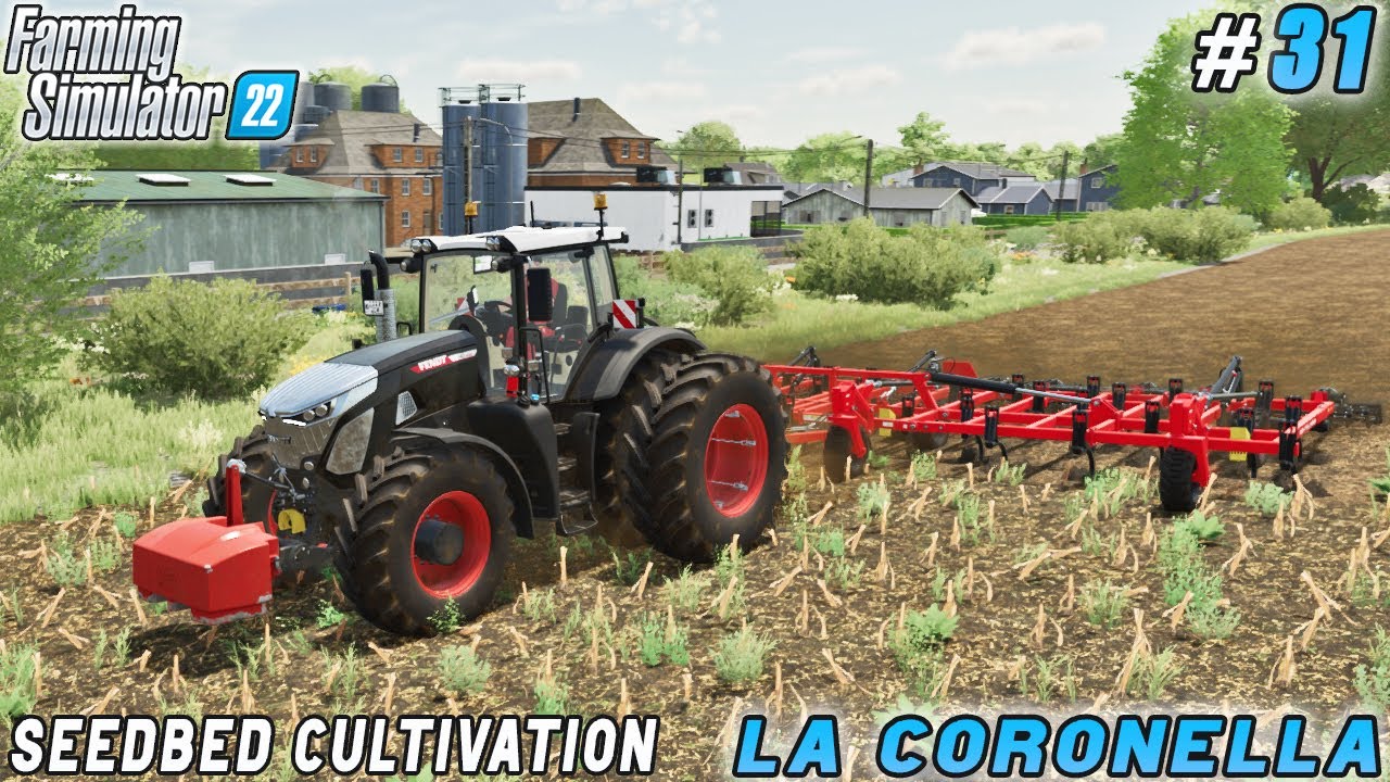 Field Preparation, Cleaning, and Packaging Vegetable Oil | La Coronella ...