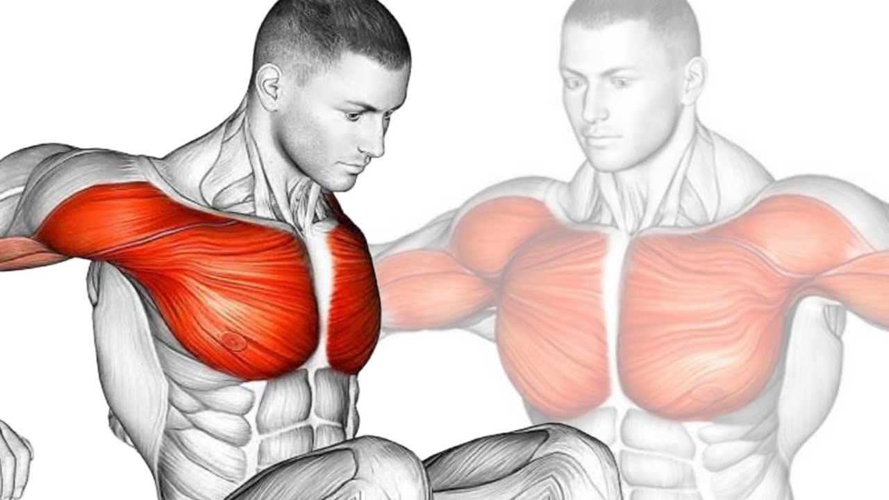 Build a BIGGER CHEST at Home - YouTube