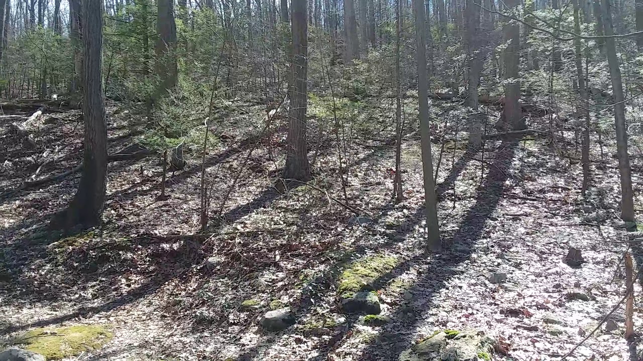 Hemlock Springs Appalachian Trail Campsite - YouTube