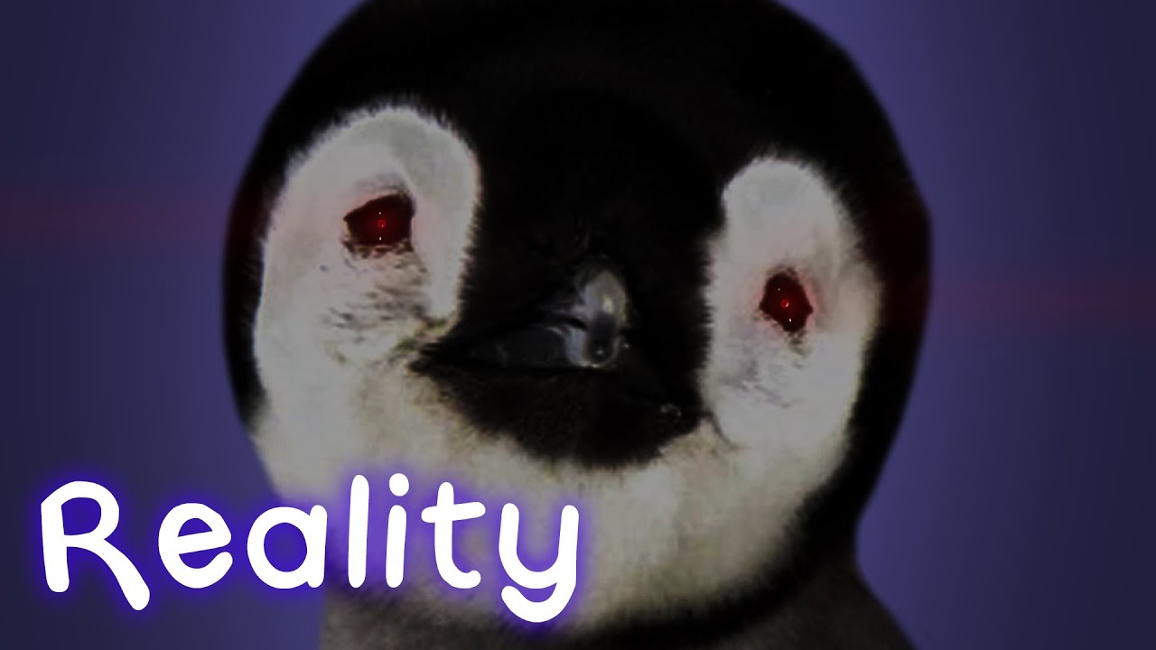 Pingu Noot Noot But it's reality! - YouTube