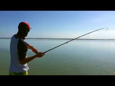 EVERGLADES Flamingo Fishing Trip 2 - YouTube
