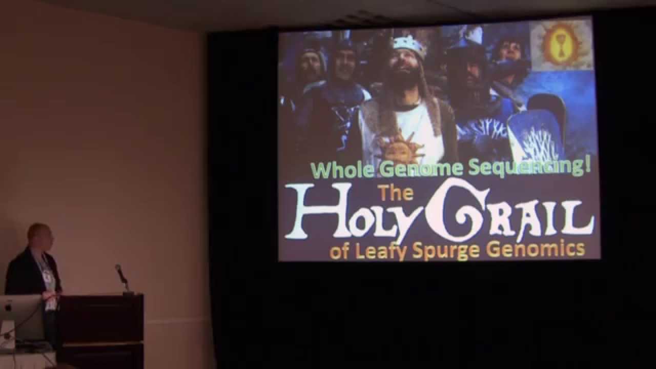 Highlights: David Horvath, USDA-ARS - Sequencing an Invasive Polyploid ...