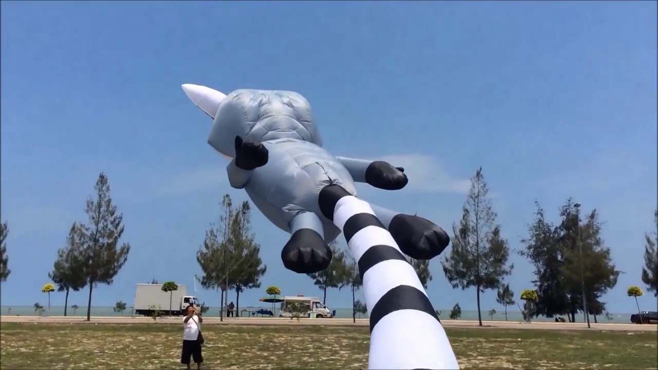 8 Meter Lemur Inflatable Kite From Germany CIM - YouTube