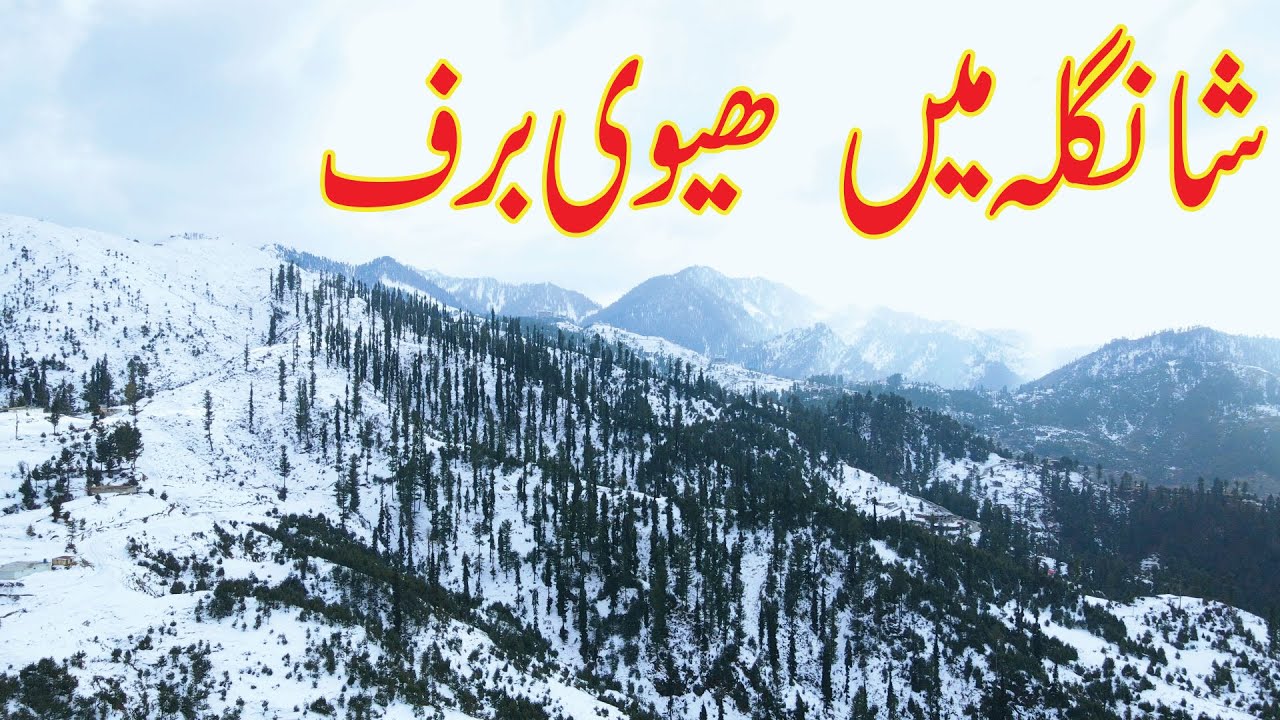 Shangla Swat Heavy Snow Area In Winter Vlog / New Attraction In Shangla ...
