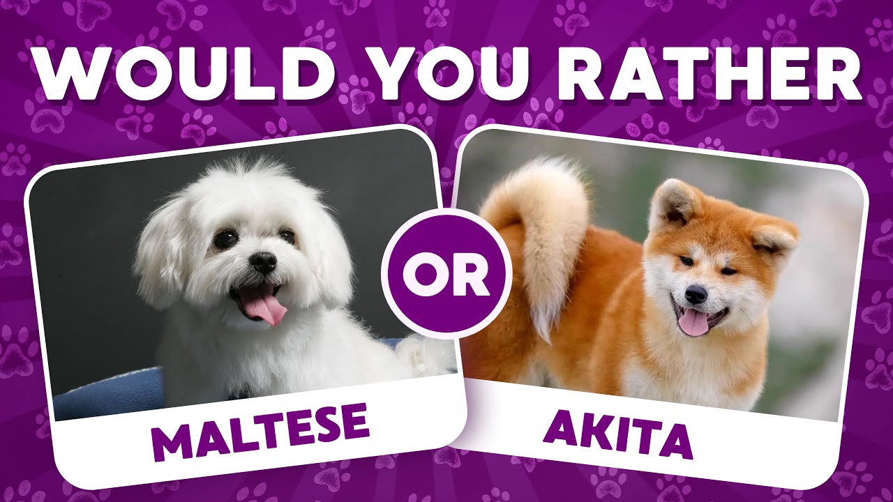 Would You Rather...?😍 | Puppies and DOGS Edition 🐶 | Hardest Choices ...
