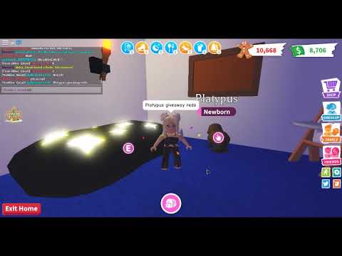 Adopt Me Platypus Giveaway (REDO) - YouTube