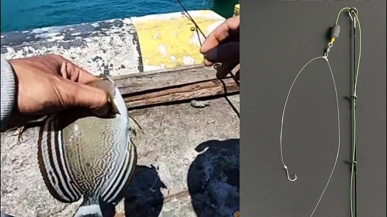 This Simple Fishing Rigs for Rabbitfish @kawanmancing - YouTube