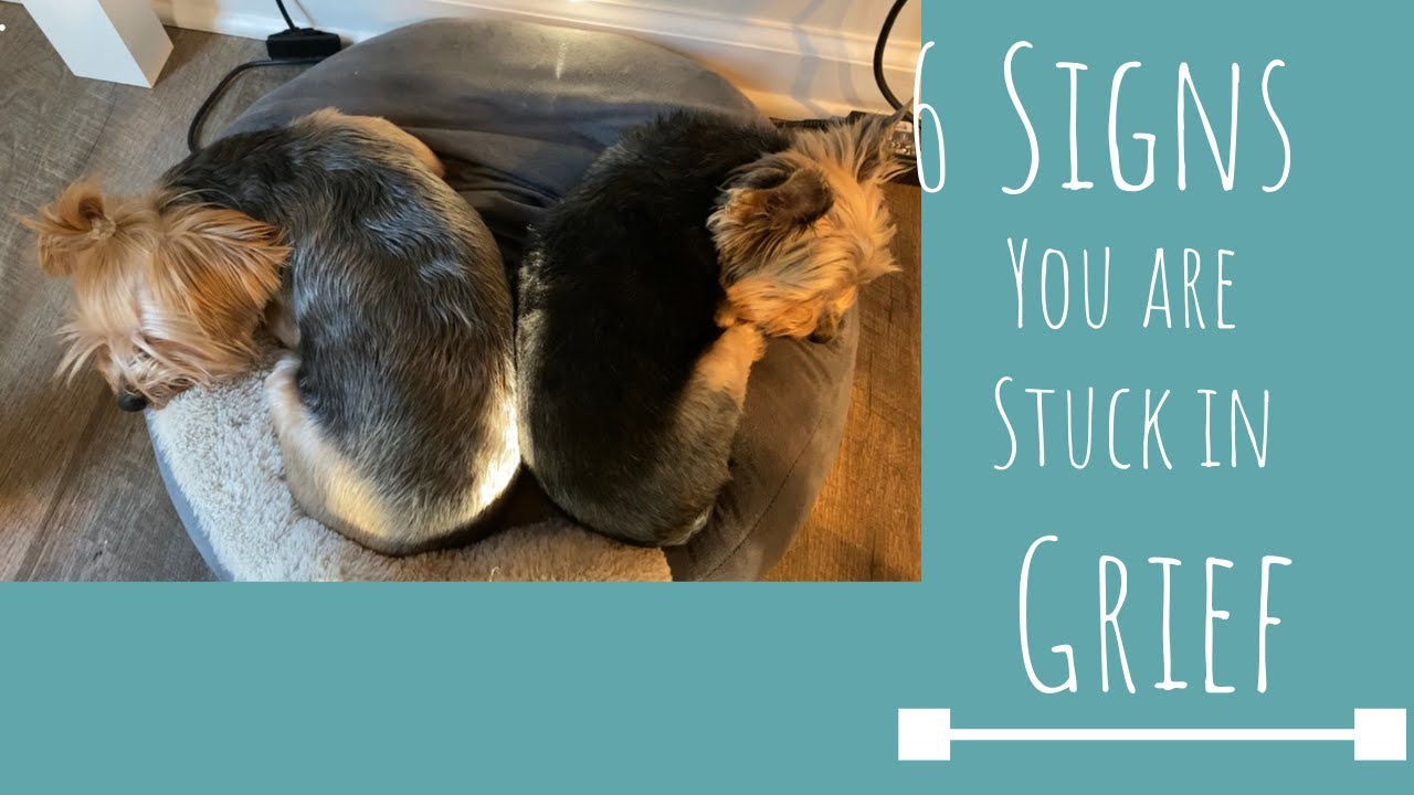 How to Cope with Grief Part I | 6 Signs You Are Stuck in Grief - YouTube