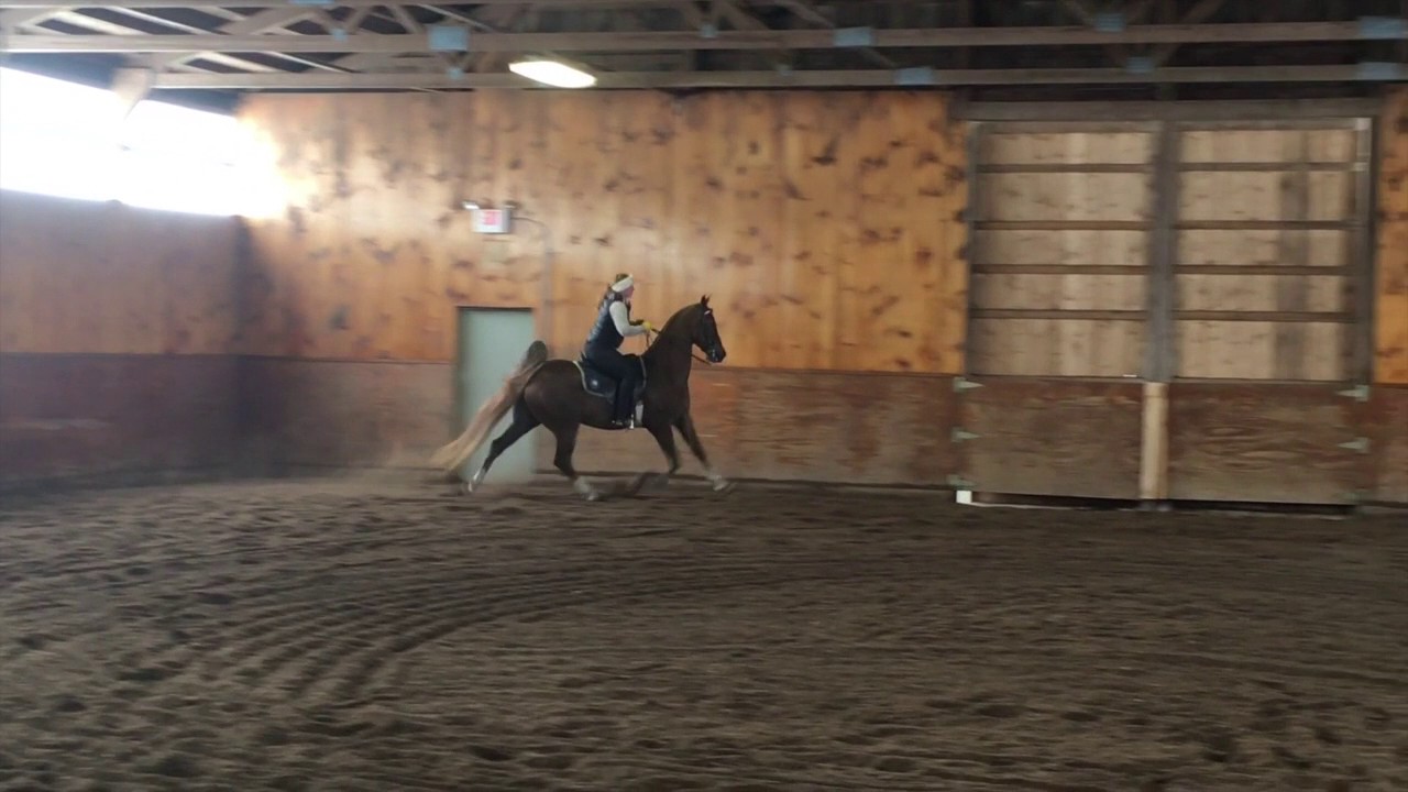 Kierson Farm Presents: My Nutty Valentine - YouTube