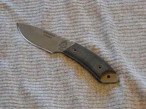 Tops Sparrow Hawke knife - great small fixed blade edc option - YouTube