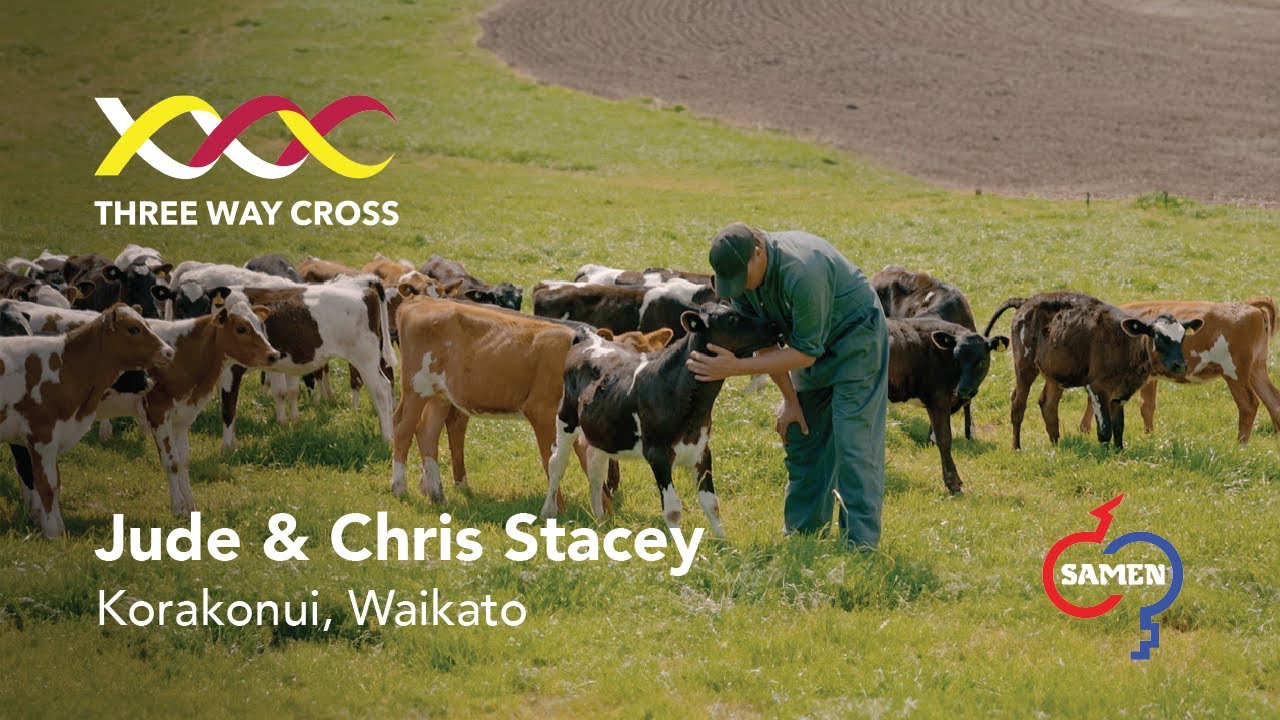 Jude & Chris Stacey | Thriving with the Three-Way Cross - A Story of ...