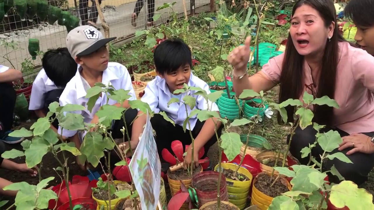 GULAYAN SA PAARALAN ng PROJECT 3 ELEMENTARY SCHOOL - YouTube