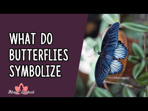 Why Do Butterflies Symbolize Hope