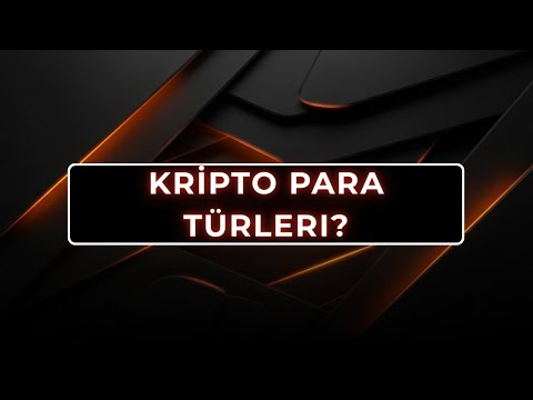 Kripto Teorisi Eğitim: Bölüm 2 Kripto Para Türleri Nelerdir?