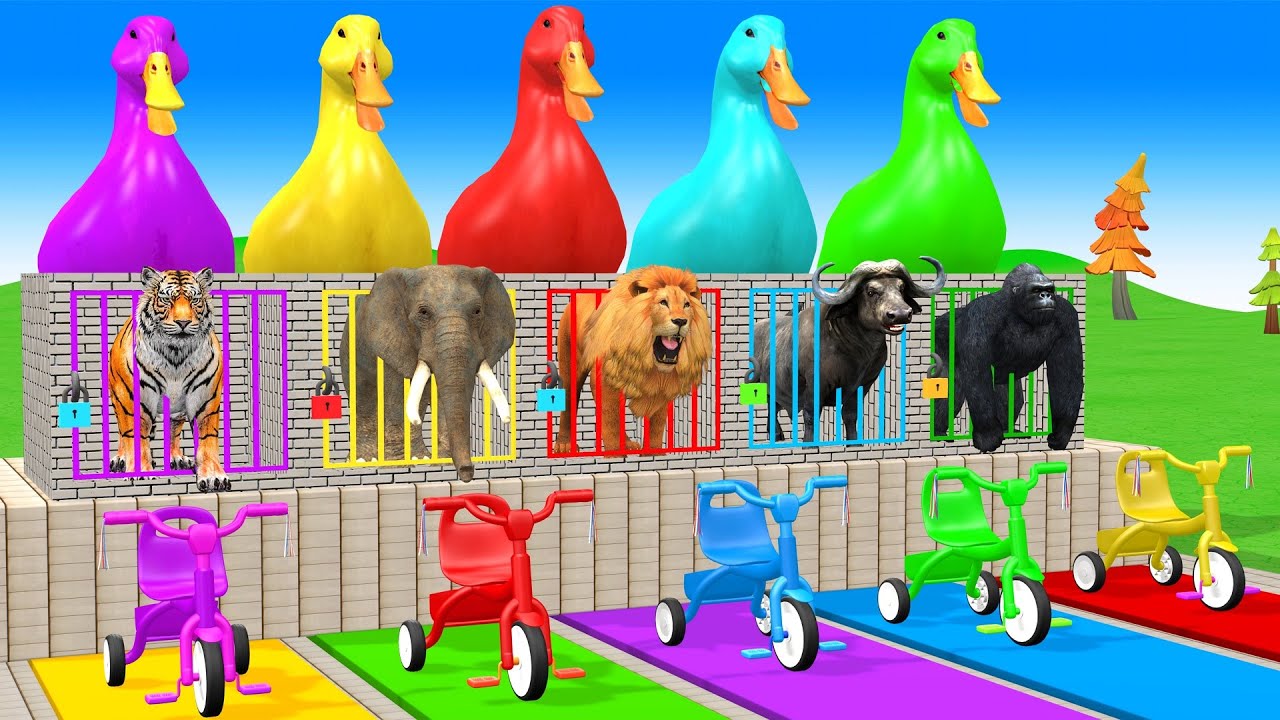 Long Slide Game With Elephant Gorilla Buffalo Lion Tiger 3d Animal Game ...