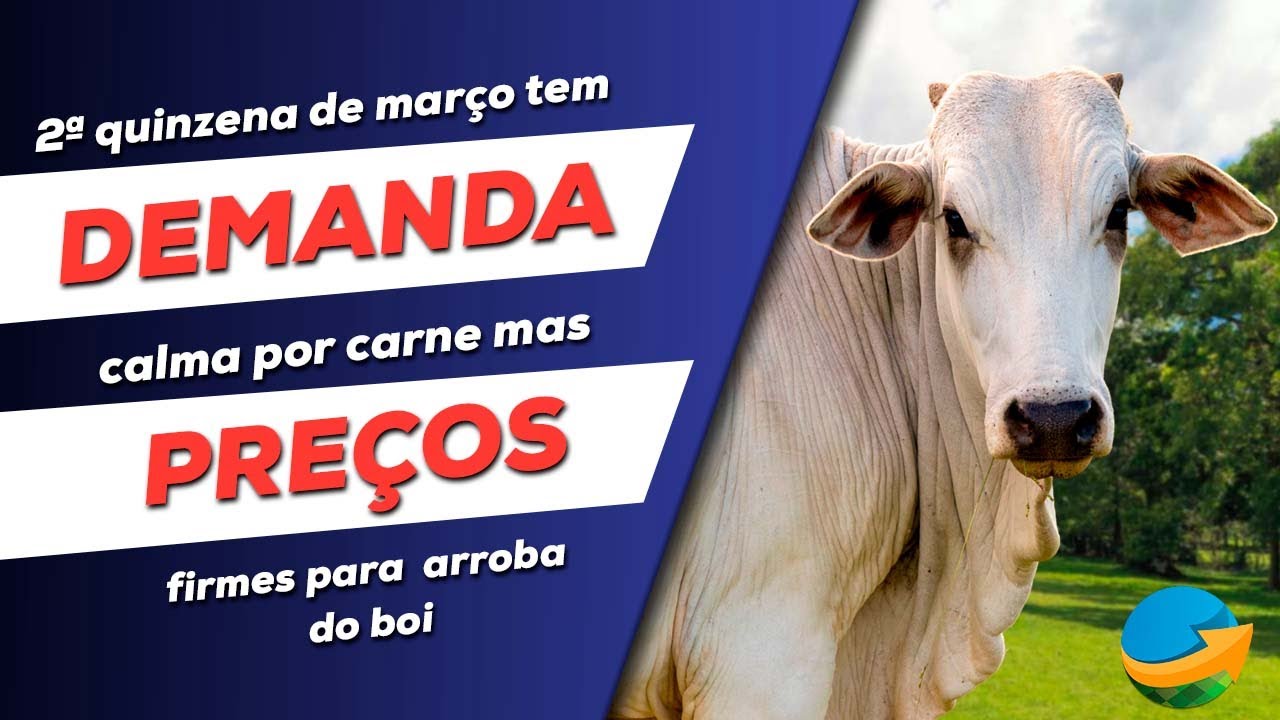 Segunda quinzena de março tem demanda calma por carne mas preços firmes ...