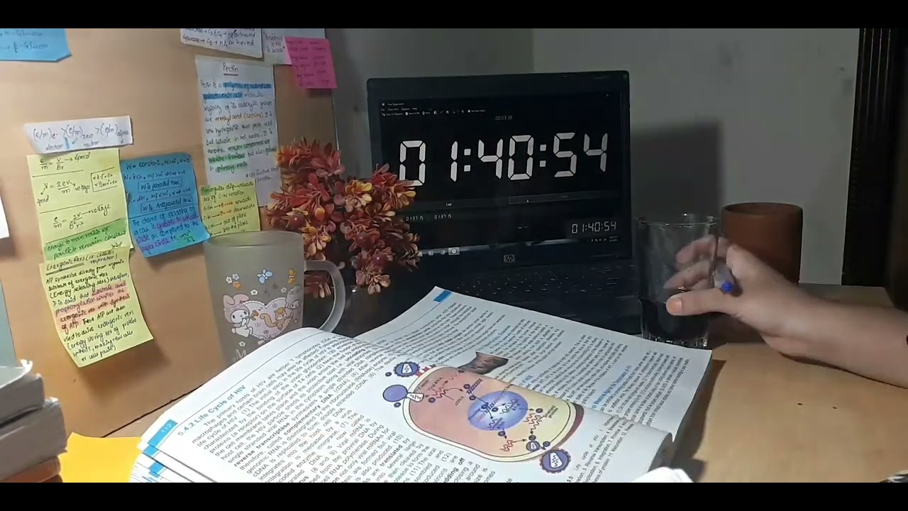 my study melody 2 /3 hours study with me /goal to achieve/new weak/#bilology #kemu - YouTube