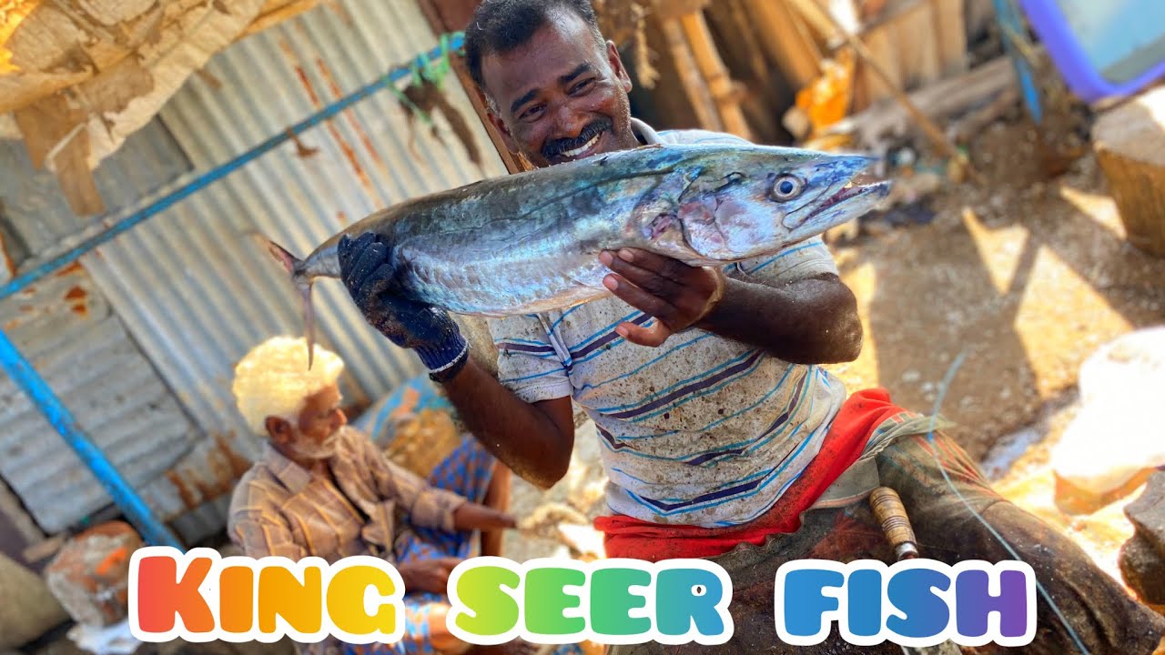 🔥🔪காசிமேடு மீன் மாக்கெட்டில் 🔪🦈வஞ்சரம் மீன்🦈(KING SEER FISH) வெட்டும் ...