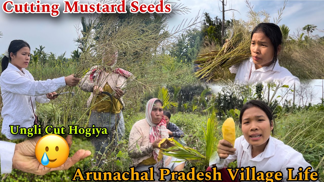 Aaj Ka Din Bahut Karaf Meri Liye🥲Ungli Cut Giya|| CUTTING MUSTARD SEEDS ...
