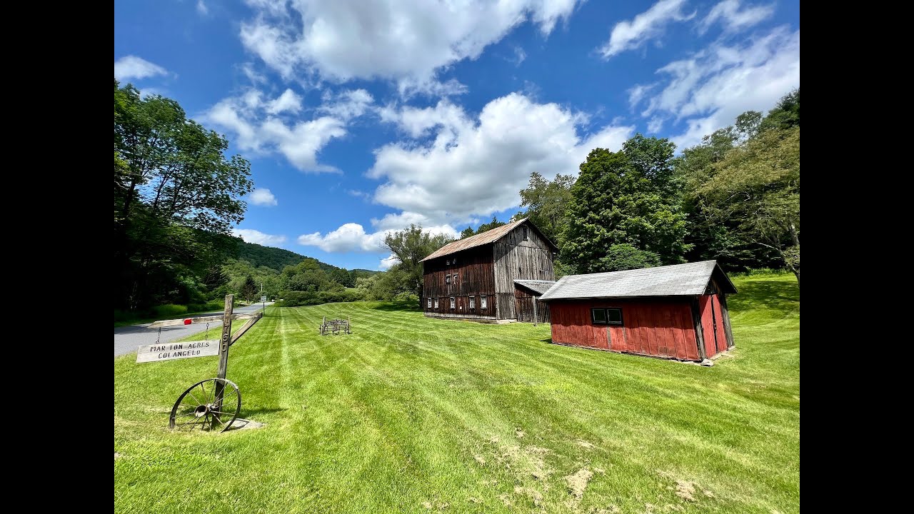 1750 Trout Brook, Downsville NY - YouTube