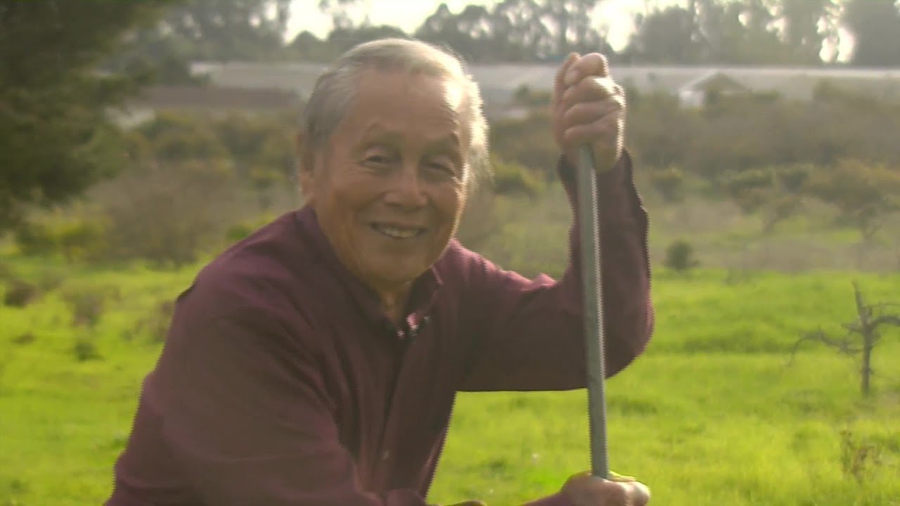 Rodney Chow shares his American story in a newly published ...