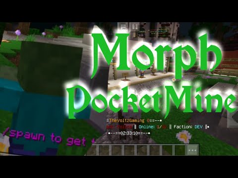 Morph | PocketMine Plugin | Minecraft PE/BE 1.10.0 - 1.14.0 [Free ...