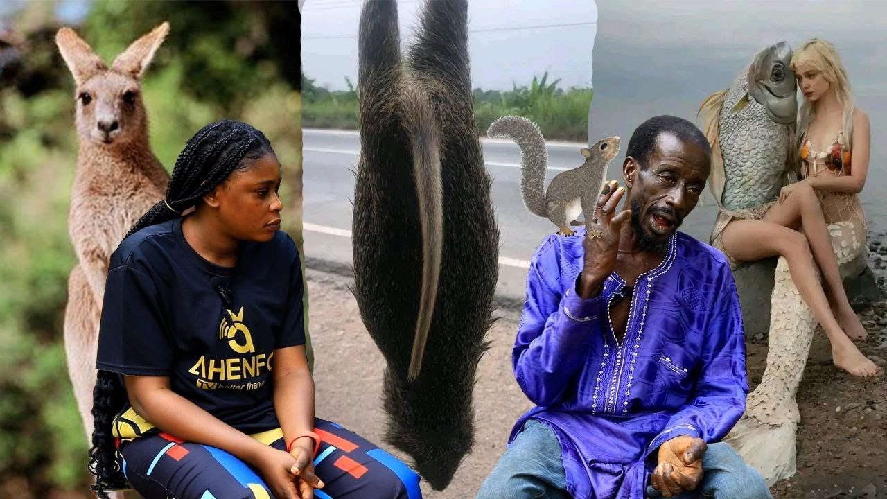 Wow😯A Ghanaian Hunter Tells How He Helped A Monkey In The Forest ...