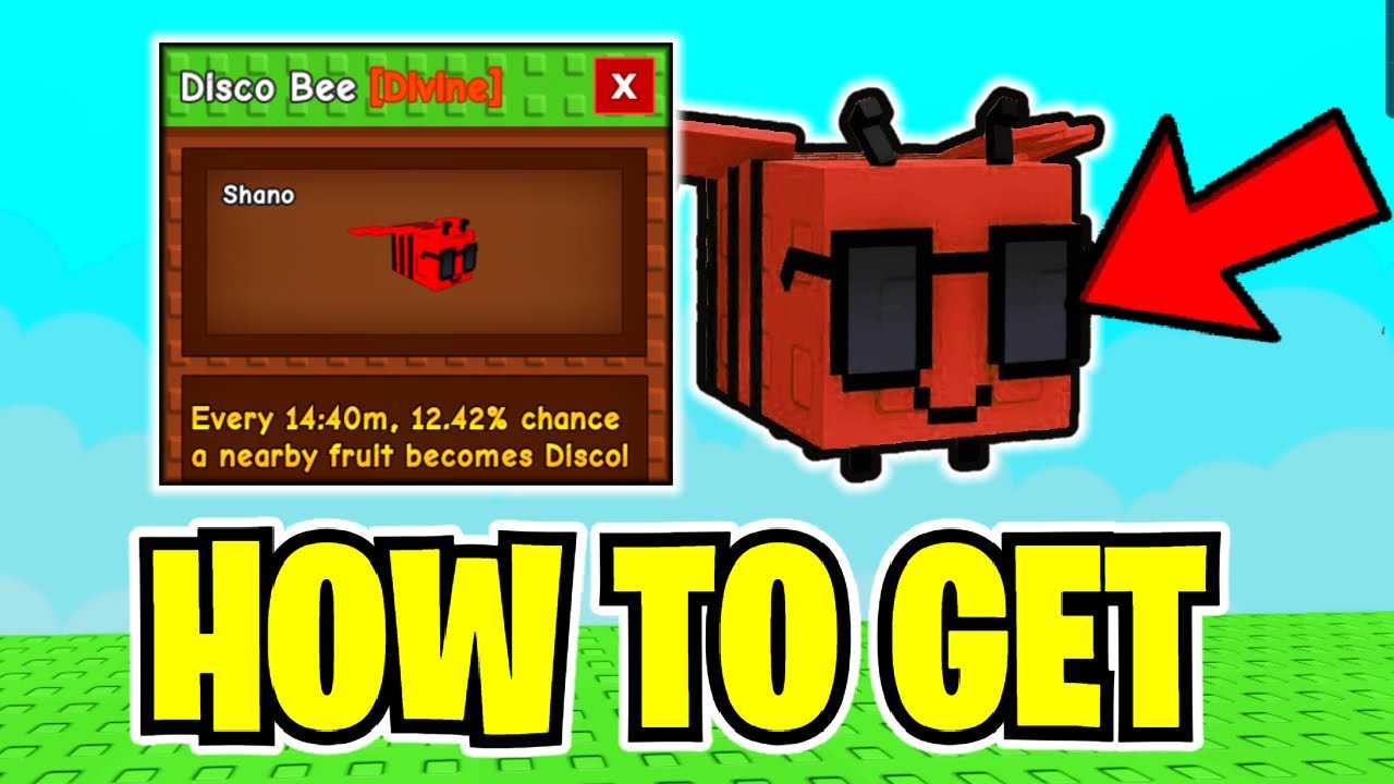 How To GET DISCO BEE & SHOWCASE In GROW A GARDEN! (FULL GUIDE) ROBLOX ...