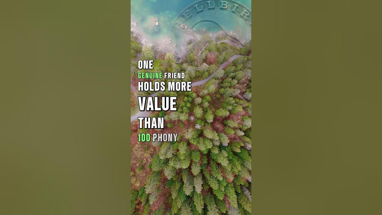 Quality Beat Quantity - YouTube