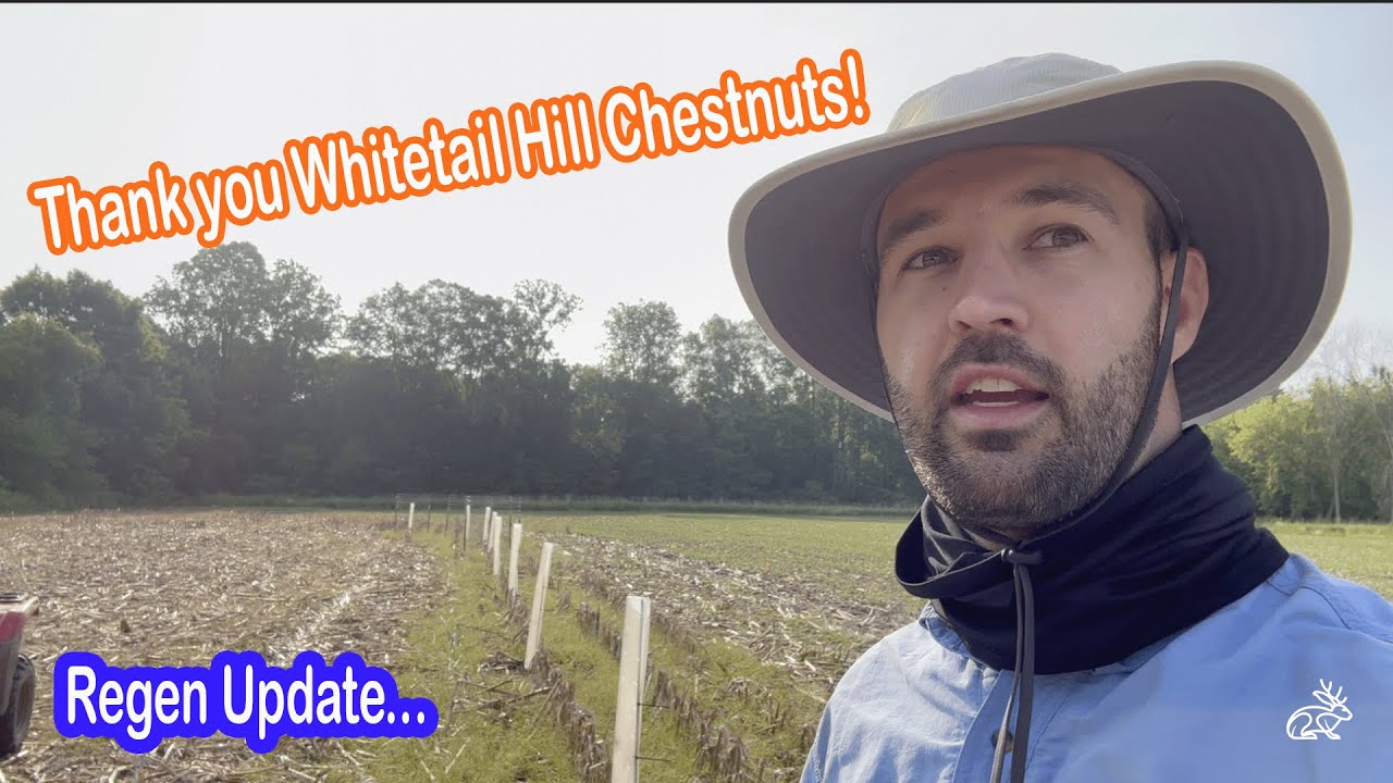 Thank You Whitetail Hill Chestnuts! Great Service. #foodplot # ...