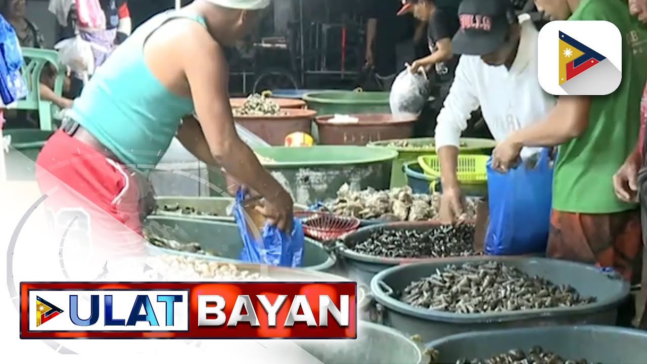 Presyo ng mga shellfish, pinangangambahang tataas dahil sa epekto ng El ...