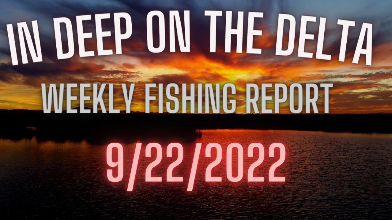 The In Deep on the Delta Weekly Fishing Report For 9/22/2022. - YouTube