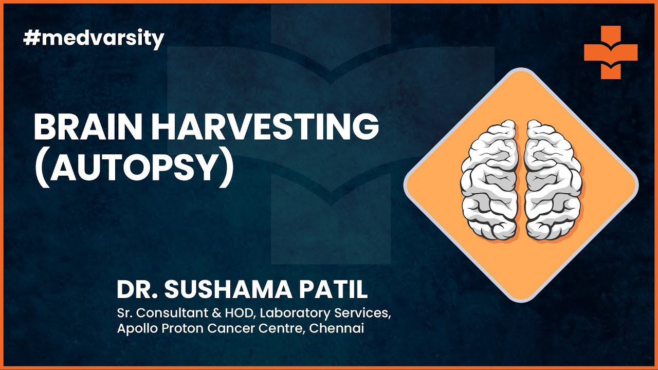 Brain Harvesting (AUTOPSY) | @MedvarsityTechnologiesPvtLtd - YouTube