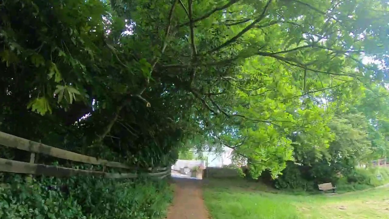 Clyne Common and home through Llywnderw Woods - YouTube