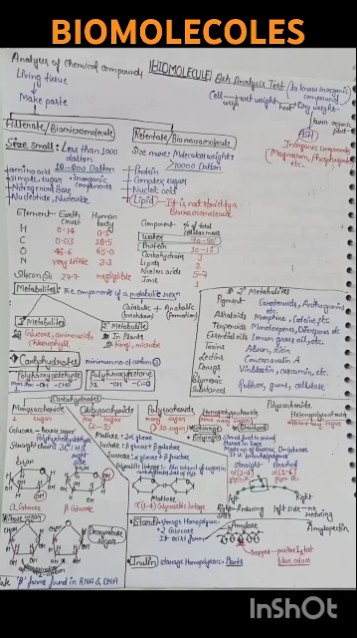 SHORT NOTES BIOMOLECULES FOR NEET - YouTube