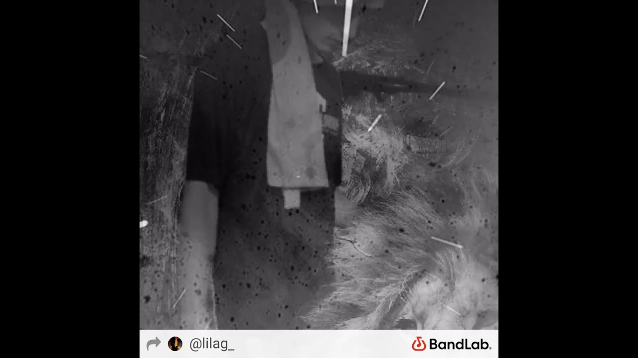 LILAG run away - YouTube