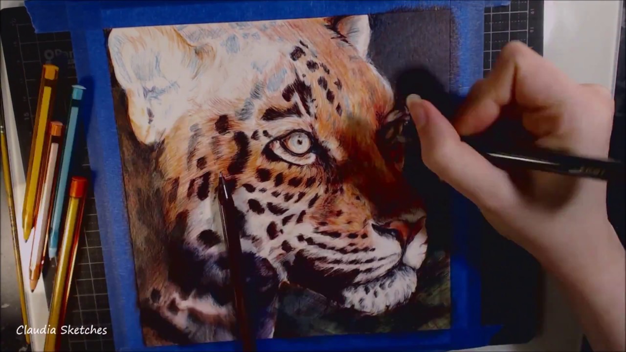 Time Lapse Jaguar In Ballpoint Pen Youtube