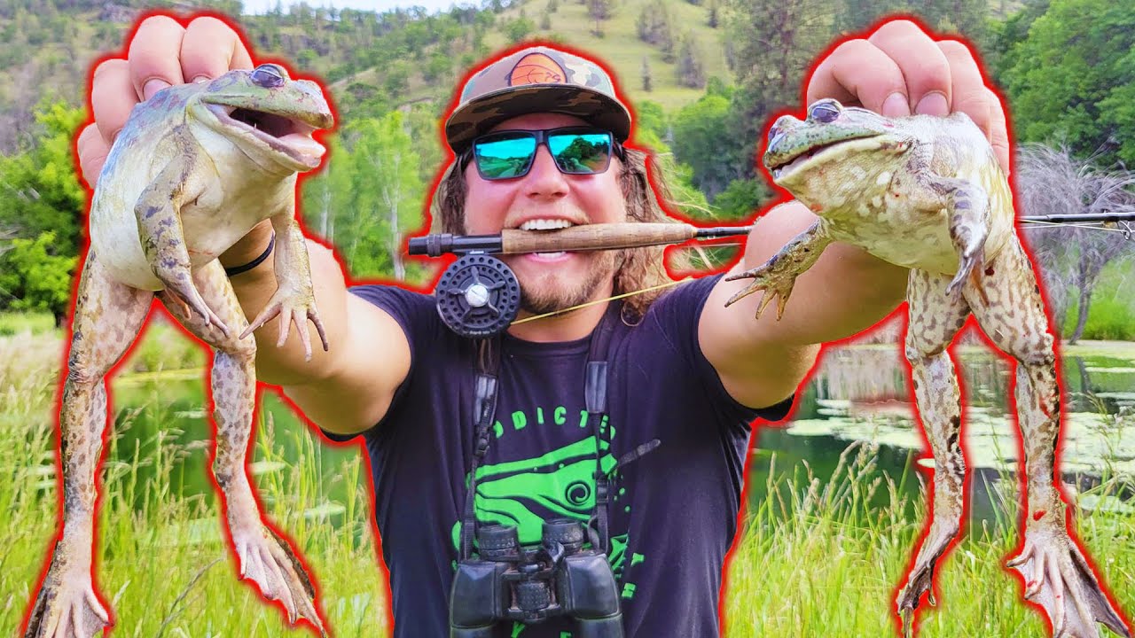 SNEAKING Up On Bull FROGS! Fried BULL FROG Catch N' COOK. - YouTube